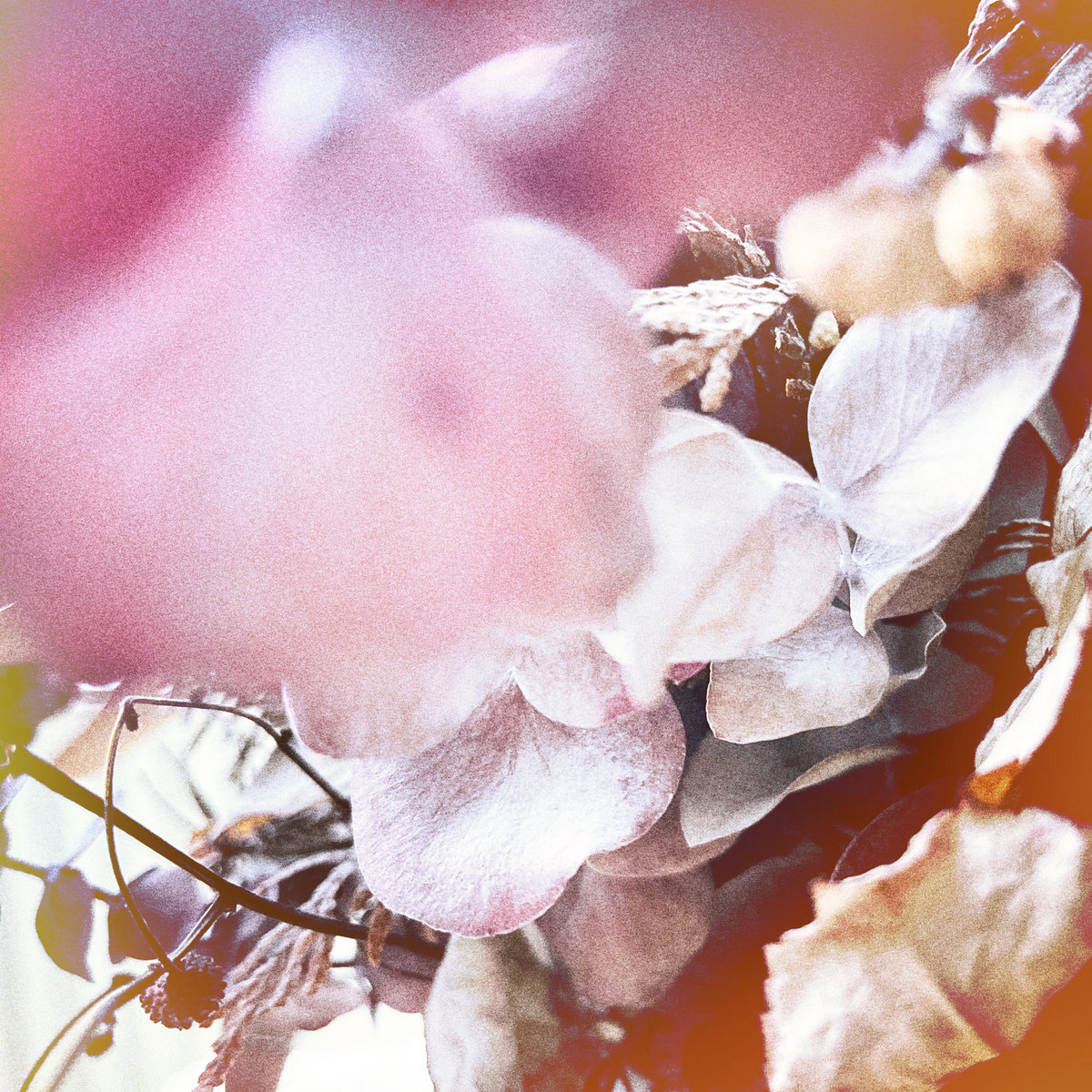 Wil Bolton – Null Point - Palms Out Sounds